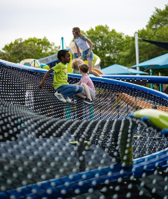 Navigating Net Play: Challenges & Solutions for Inclusive Playgrounds